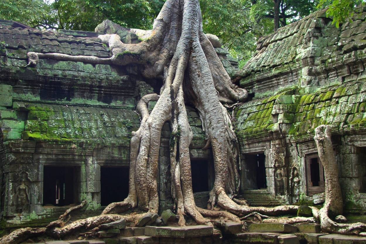 Angkor Archaeological Park: Complete Guide for 2026